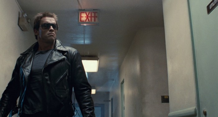 Between Authority and Resistance: The Terminator’s New Clothes