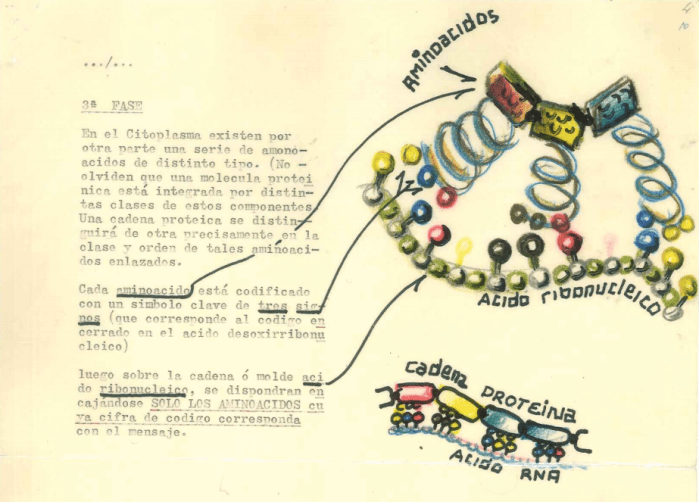 “An Immoral Experiment”: The Spiritual, Political, and Ufological ...