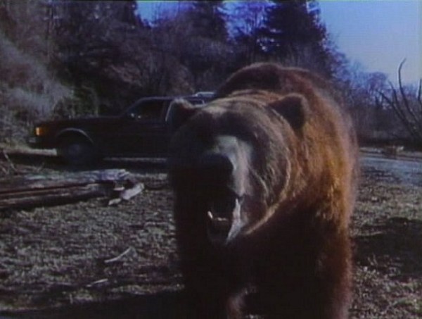 “To Witness the Final Moment”: 40 Years of ‘Faces of Death’